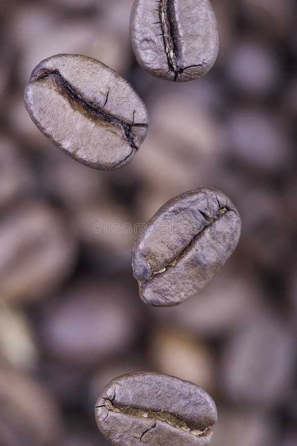 Falling Coffee Beans Closeup Stock Image - Image of bean, horizontal ...