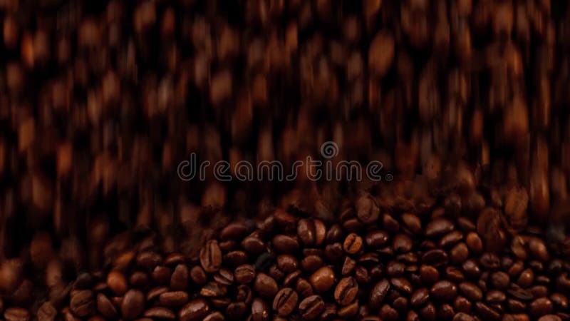 Falling Coffee Beans. Front View of Coffee Beans. Stock Footage - Video ...