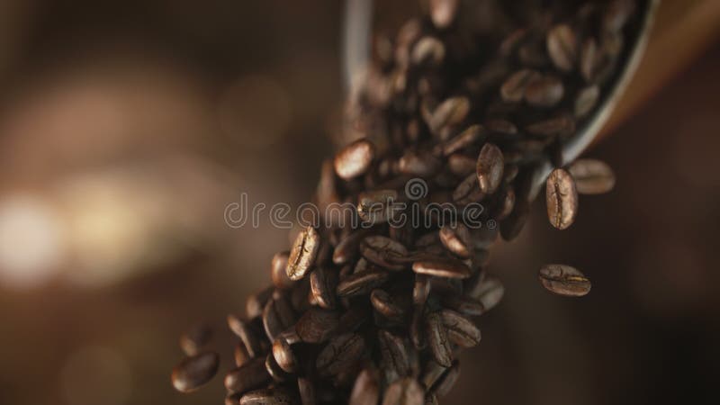 Falling Coffee Beans. Front View of Coffee Beans. Stock Footage - Video ...