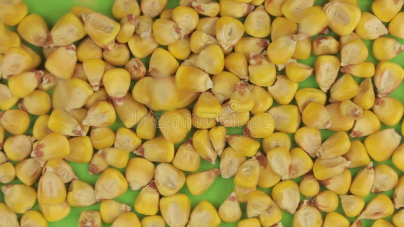Falling Corn Flakes on a Black Background. Stock Footage - Video of ...