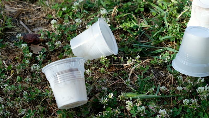 Disposable Plastic Dirty Coffee Cups Discharged Waste on Grass Ground ...