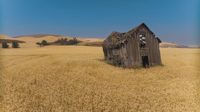 Falling Down Barn in Wheat Field of Palouse, Washington Stock Photo ...