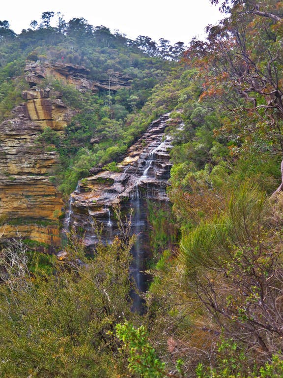 Falling down to the bush stock image. Image of geology - 102473173