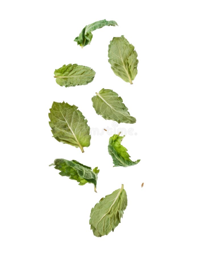 Dried Herb Leaves Falling Transparent Background Stock Photos - Free ...