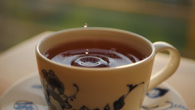 Falling drop into tea cup stock photo. Image of cream - 234790902