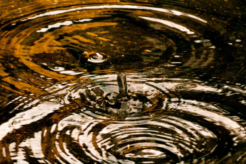 Falling Drop of Water in a Puddle Stock Photo - Image of droplet ...