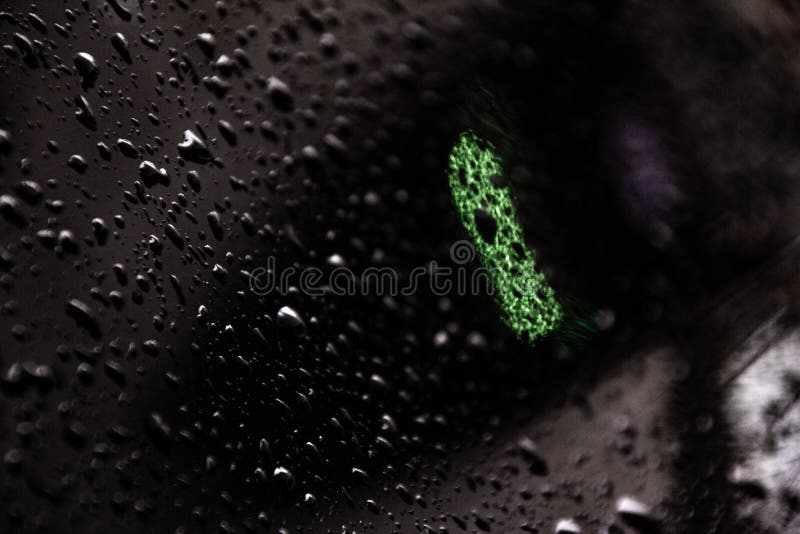 Falling Drop of Water in a Puddle Stock Photo - Image of water ...