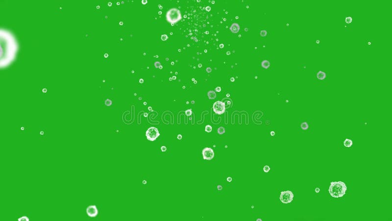 Falling Dust Particles with Green Screen Background Stock Video - Video ...