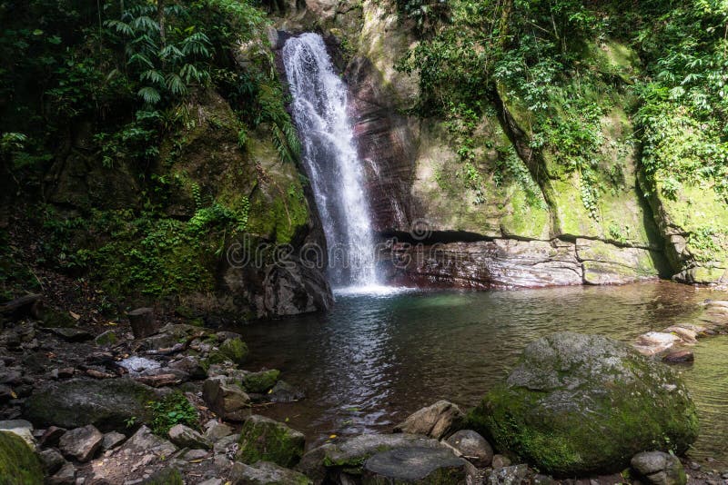 Falling Edge waterfall stock image. Image of rapid, jungle - 238267671