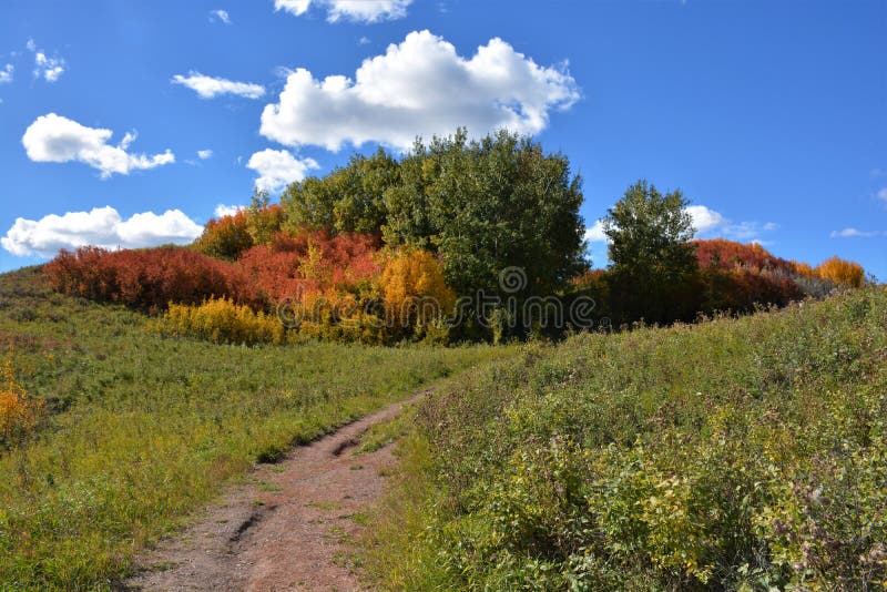 Falling into Fall stock photo. Image of beautiful, pretty - 101074046