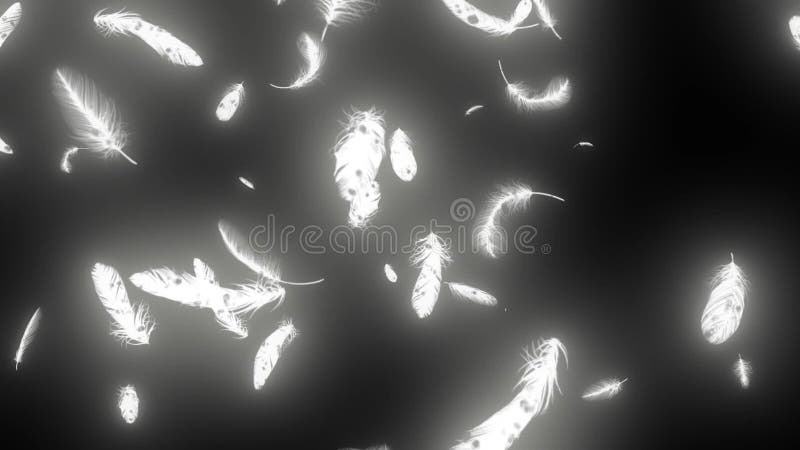 Falling Feathers Animation