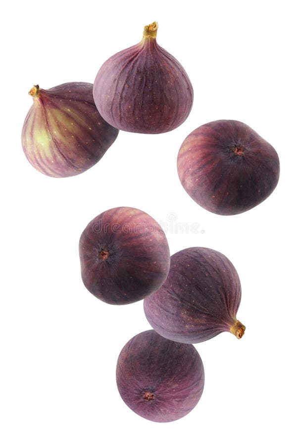 Falling Figs, Isolated on a White Background Stock Image - Image of ...