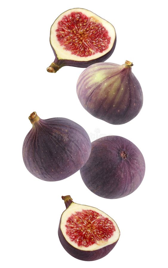 119 Figs Falling Stock Photos - Free & Royalty-Free Stock Photos from ...