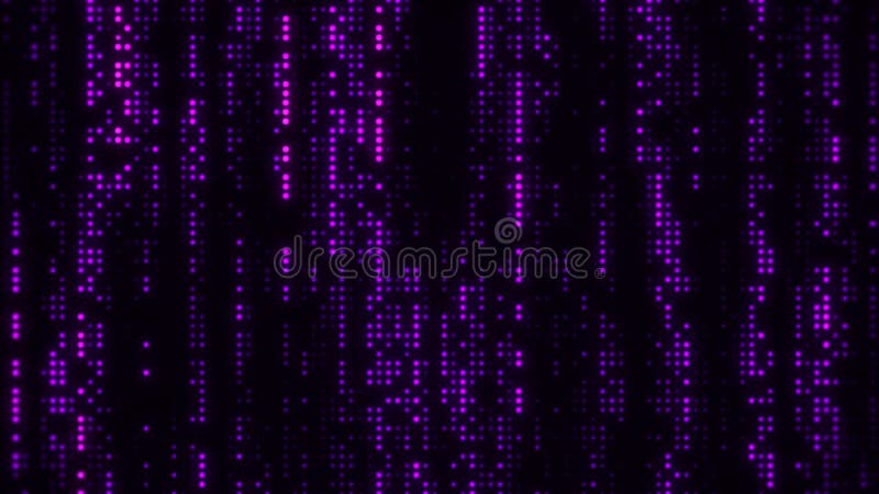 Falling Matrix Digital Purple Dots Loop Motion Background Stock Video ...
