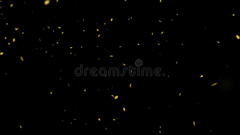 Falling Gold Particles with Night Background Stock Video - Video of ...