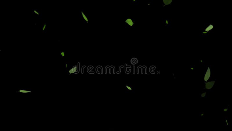 Autumn Leaves Falling Animation Overlay on Alpha Channel Background in ...