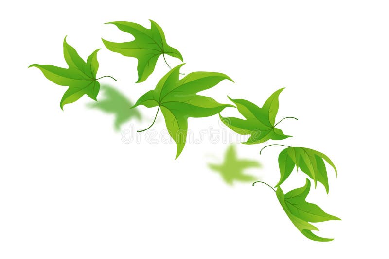 Falling Green Leaves stock photo. Image of white, green - 14713316