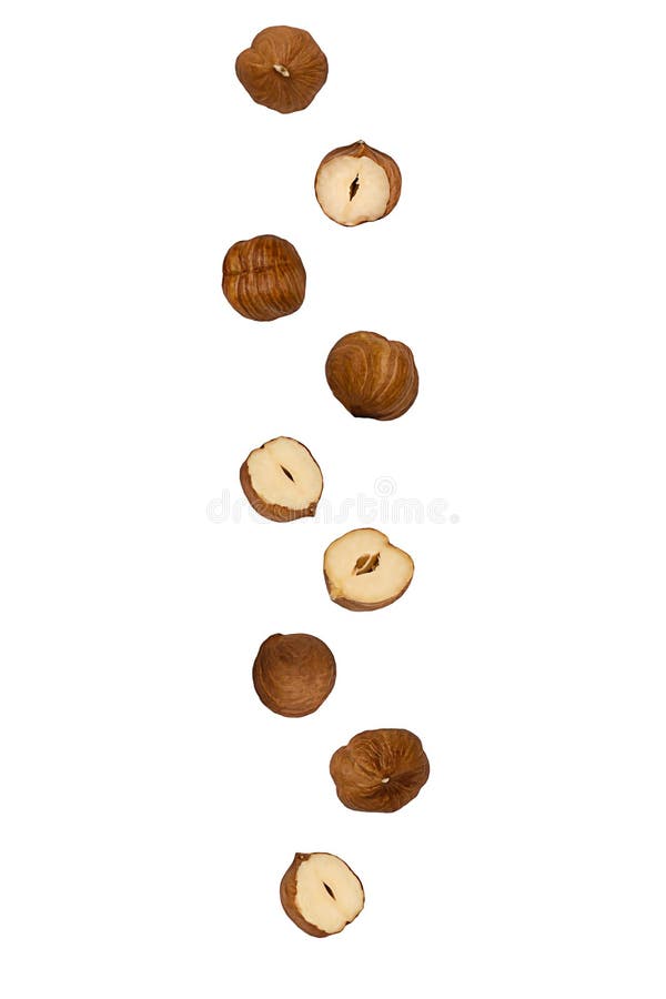 Falling Hazelnut Isolated on White Background with Clipping Path As ...