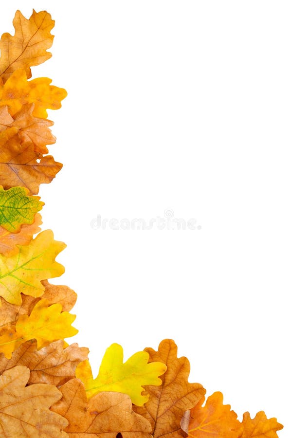Falling leaf frame stock photo. Image of season, element - 10847864