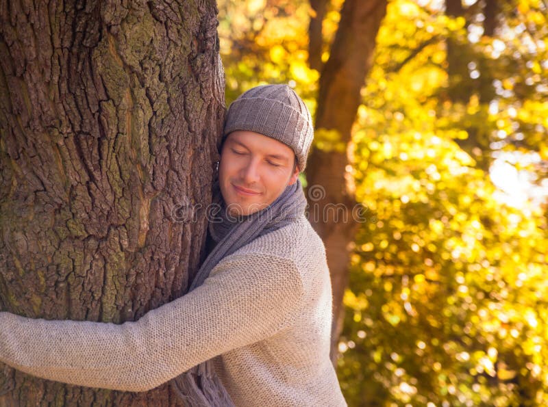 Falling leaf stock image. Image of music, leaf, outside - 59069085