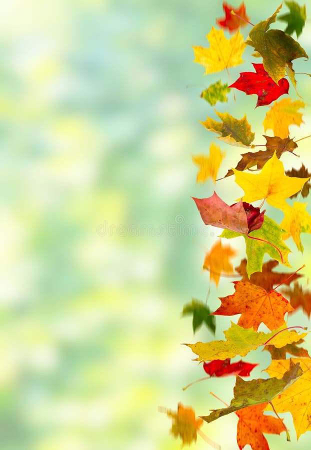 35+ Vertical falling leaves Free Stock Photos - StockFreeImages