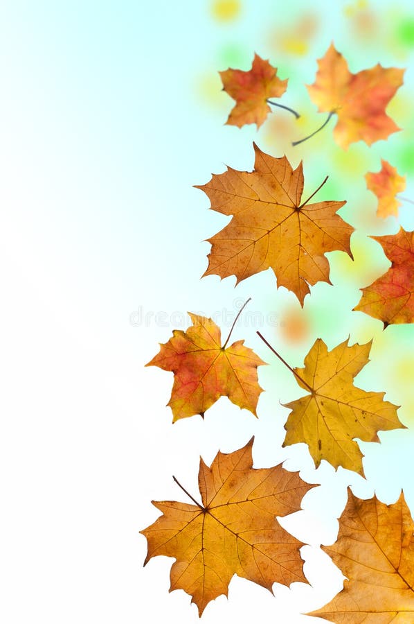 Falling leaves stock image. Image of symbolically, season - 27443877
