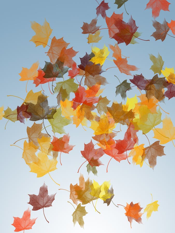 Falling leaves stock illustration. Illustration of gradient - 3606935