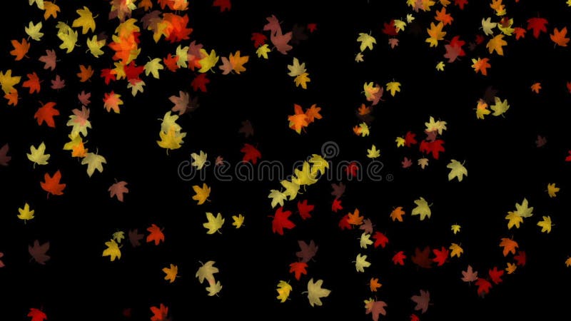 Falling Leaves Fire on Black Background Stock Footage - Video of flame ...