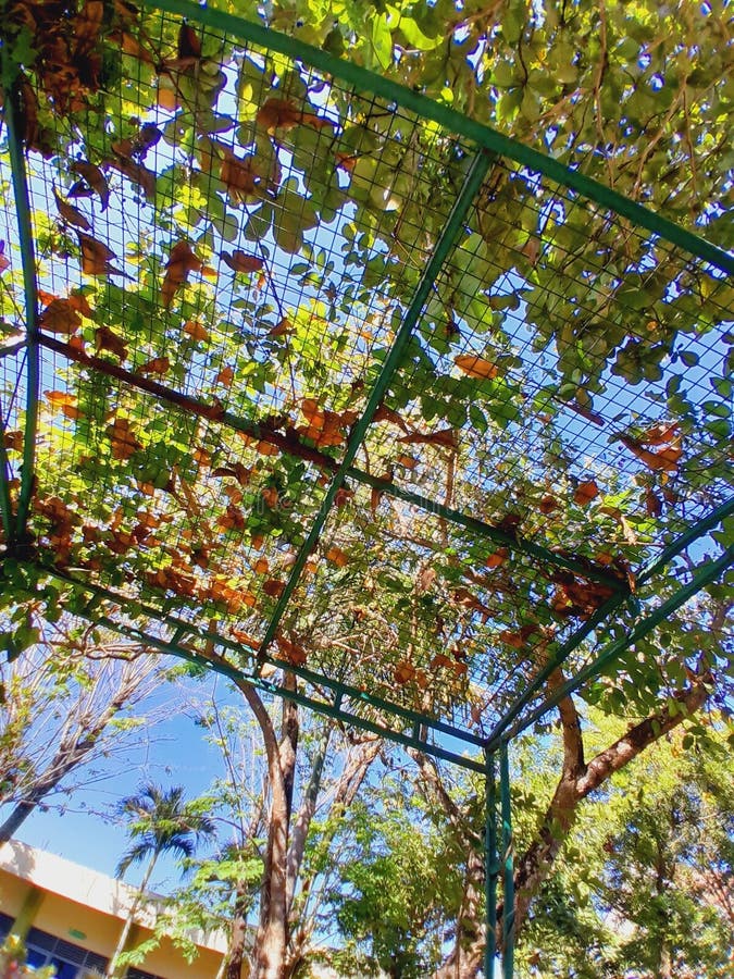 Falling Leaves Can Be Something Very Beautiful Stock Photo - Image of ...