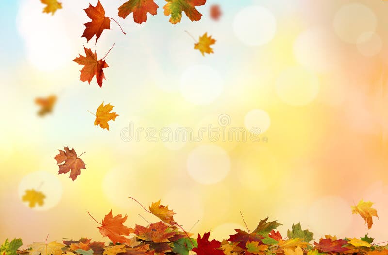 Falling Leaves Natural Background . Stock Photo - Image of backdrop ...