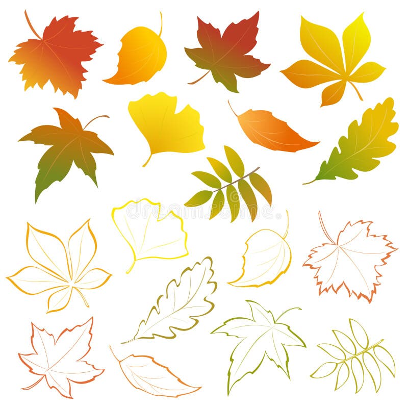 Falling leaves set stock vector. Illustration of leaves - 58635943