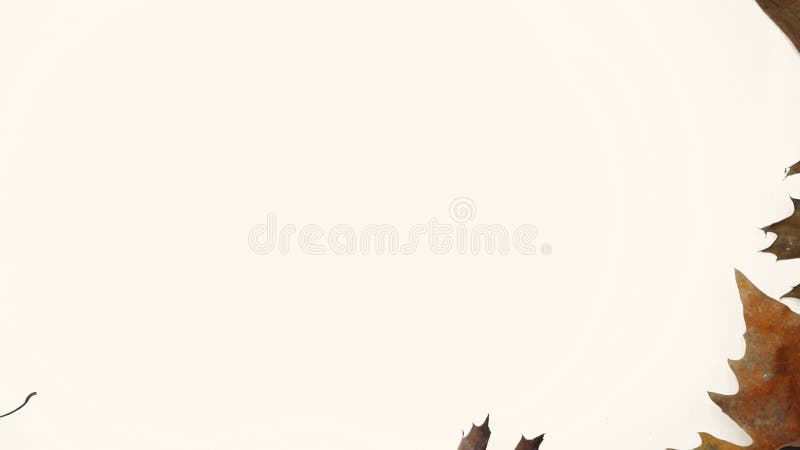 Maple Leaf Transition Stop Motion Animation Stock Footage - Video of stop, isolated: 347675250