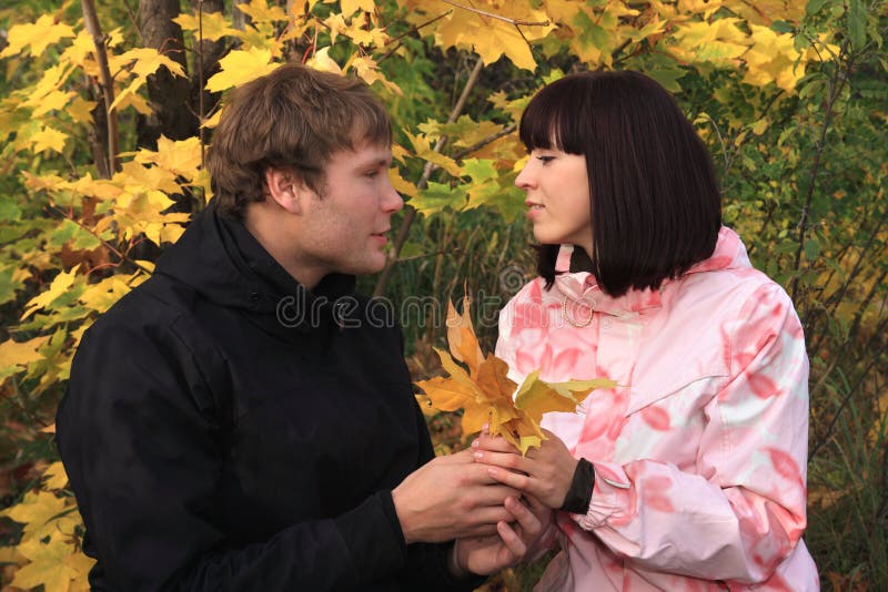 Falling in love. stock image. Image of fellow, relations - 11264745