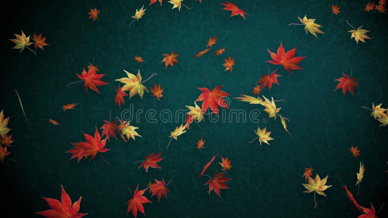 Falling Maple Leaf on Green Screen Stock Footage - Video of green ...