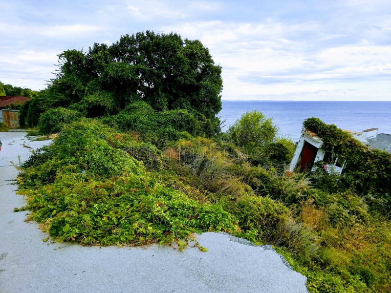 Falling in Nature stock photo. Image of falling, colorful - 1535214