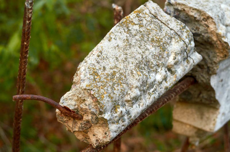 111 Falling Off Fence Stock Photos - Free & Royalty-Free Stock Photos ...