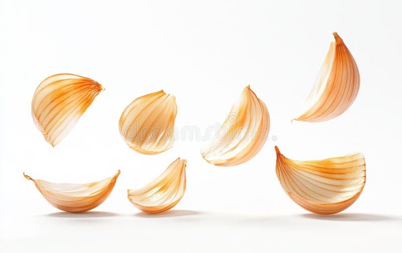 Onion Forms Stock Illustrations – 223 Onion Forms Stock Illustrations ...