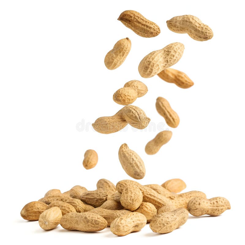 Falling Peanuts Cutout Isolated on White Background Stock Illustration ...