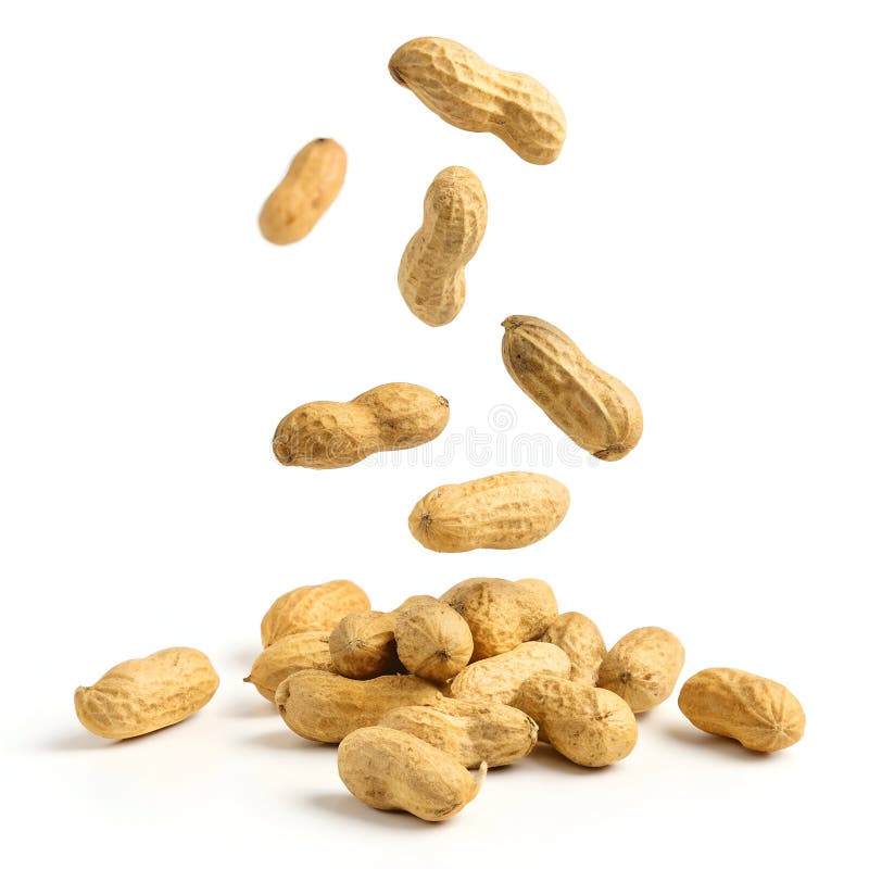 Falling Peanuts Isolated on White Background Stock Illustration ...