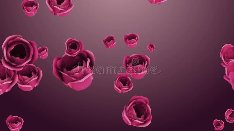 Falling Pink Roses with Beautiful Background Stock Footage - Video of ...