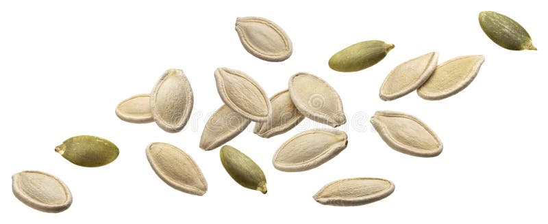 Falling Pumpkin Seeds Isolated on White Background Stock Photo - Image ...