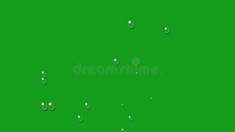 Rain Drops Motion Graphics with Green Screen Background Stock Footage ...