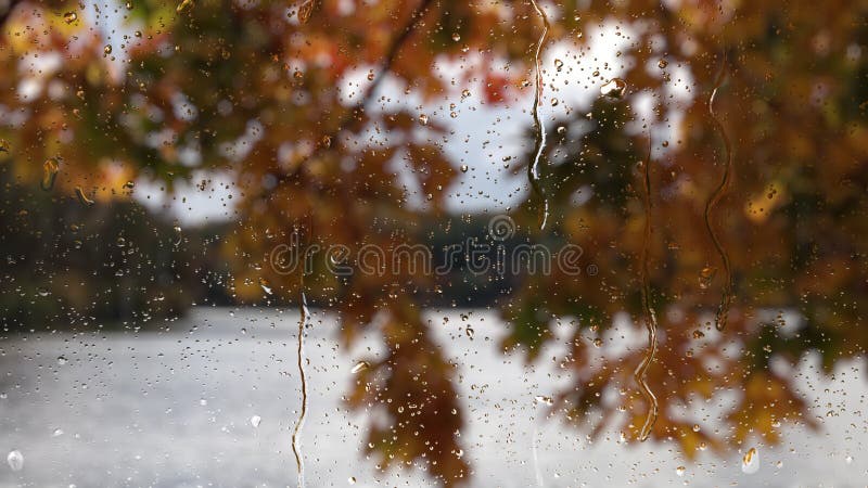 Falling Rain Drops on Window Surface. Stock Video - Video of ...