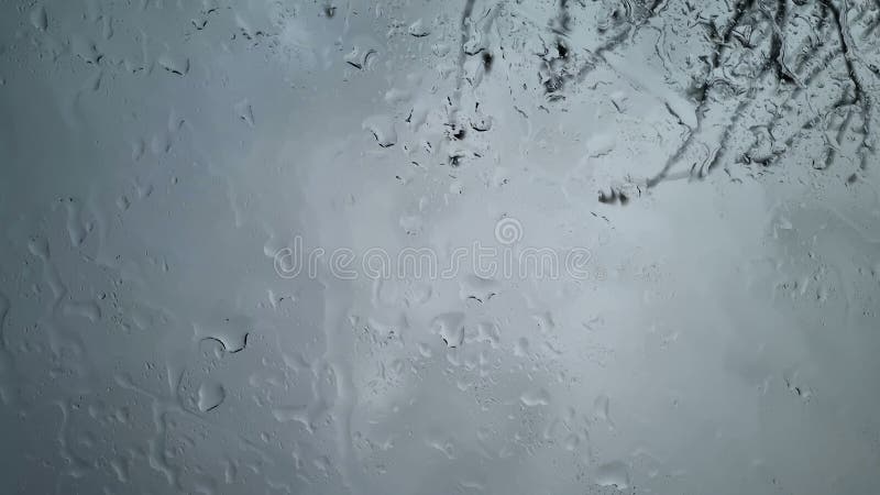 Falling Rain Water Drops Motion on a Glass, Climate Changes Nature ...