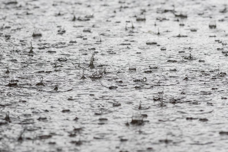 Falling Raindrops in a Puddle Stock Image - Image of puddle, rain: 76794707