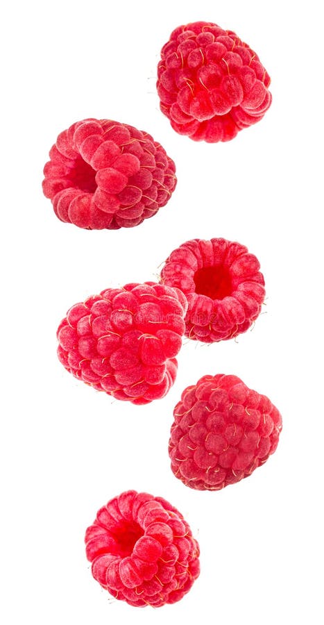 Falling Raspberries Isolated on a White Background Stock Photo - Image ...