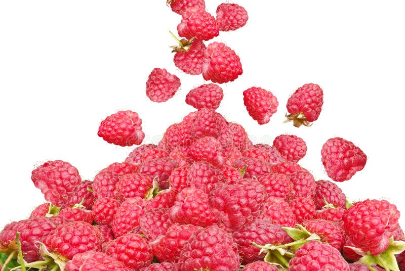 Falling Raspberries Isolated on a White Background Stock Photo - Image ...