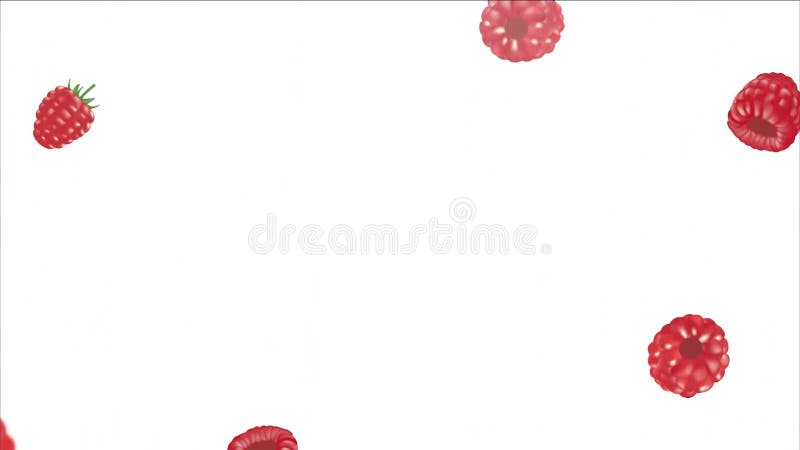 Falling Raspberries on White Background Stock Footage - Video of berry ...