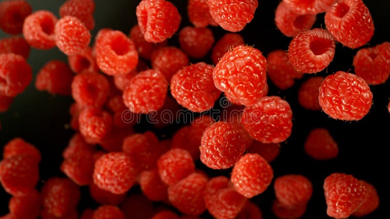 Falling Raspberry, Isolated on Black Background Stock Photo - Image of ...