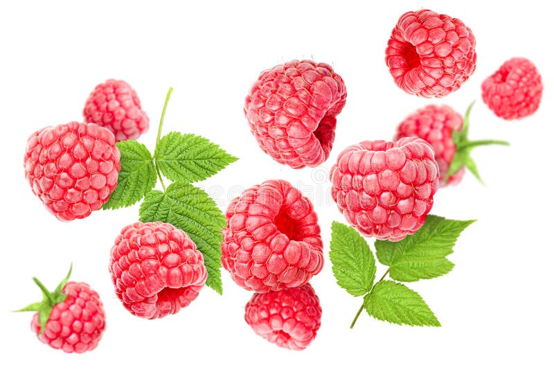 Falling raspberry stock photo. Image of isolated, healthy - 249428338